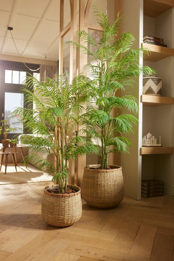 Muebles de Palma: Elegancia Natural para tu Hogar. - MUEBLES CASA